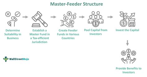 Master Feeder Structure Meaning Example Vs Fund Of Funds