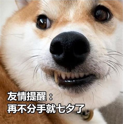 节日图片最新节日图片节日祝福图片大全24节气图片配图网