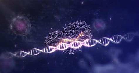 Nova How Does Crispr Work Season 45 Episode 105 Pbs