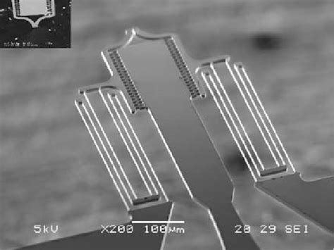 Close Up Cross Sectional View Of The Split Pyramid Showing Tip Download Scientific Diagram