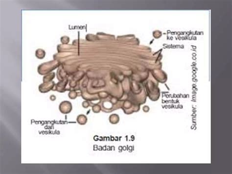Komponen Penyusun Sel Biologi Pptx