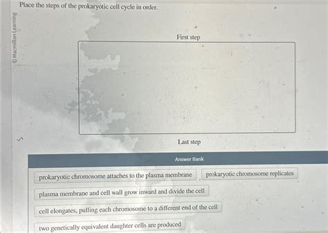 Solved Place The Steps Of The Prokaryotic Cell Cycle In