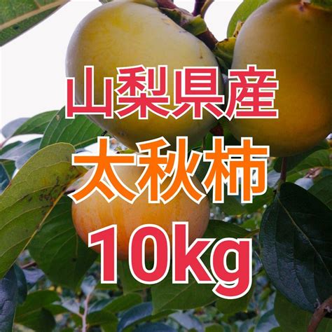 山梨県笛吹産 太秋柿 甘柿 数量限定 メルカリ