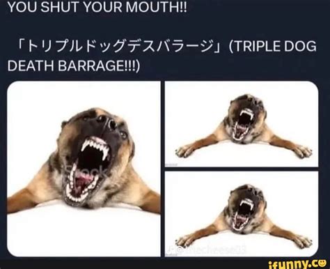 You Shut Your Mouth Triple Dog Death Barrage Ifunny