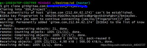 使用gitee完成小组项目gitee 分组 Csdn博客