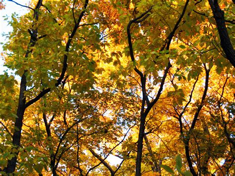 Marking Our Passage Slow Muse