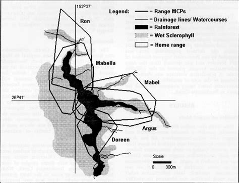 Minimum Convex Polygons For Birds At Booloumba Creek Overlayed On