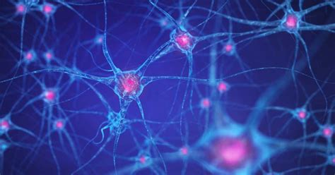 Wolfram Syndrome And Its Degenerative Factors And Treatments The Snow