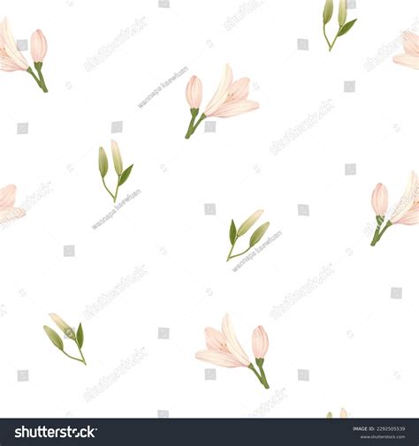 Lilly Patterns Over 10314 Royalty Free Licensable Stock Illustrations