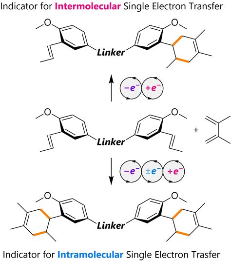 Probing Electron Transfer Events In Radical Cation Cycloadditions Intramolecular Vs