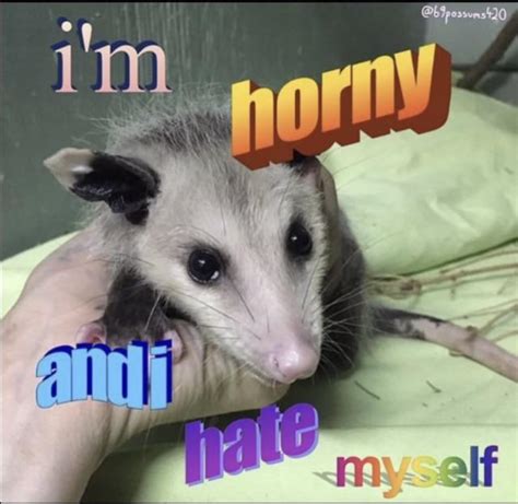 The Sex Repulsed Aces Who Have A High Libido Raaaaaaacccccccce