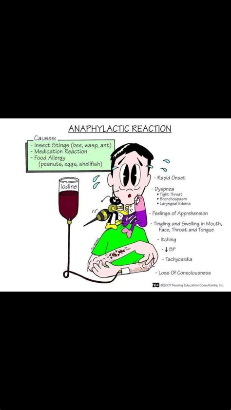Anaphylactic Reaction Nursing School Tips Anaphylactic Shock
