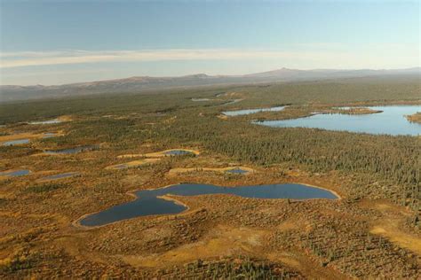 119 99 Acres Of Land For Sale In Lake And Peninsula County Alaska