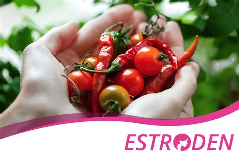 Chili Pepper Health Benefits Estroden Wellness Insights