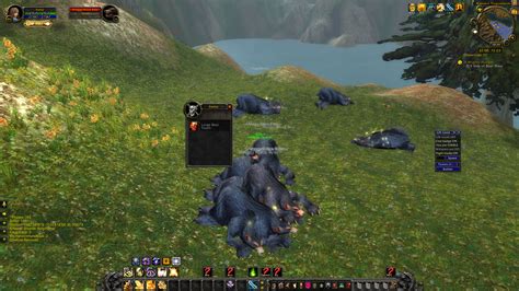 Npc Shaggy Black Bear Issue2 Western Plaguelands · Issue 4345