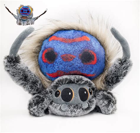 Peacock Jumping Spider