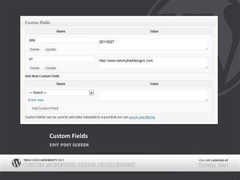 Custom Wordpress Theme Development Ppt