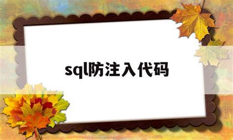 Sql防注入代码防sql注入是什么意思 杂七乱八 源码村资源网