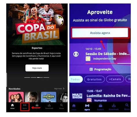 Flamengo x Fluminense ao vivo onde assistir ao jogo do Brasileirão online