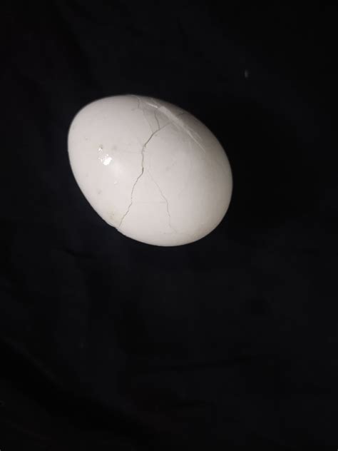 Egg Crack Detection Object Detection Dataset And Pre Trained Model By