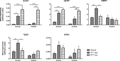 Real Time Quantitative Pcr Confirmation Of Microarray Findings Rt Qpcr Download Scientific