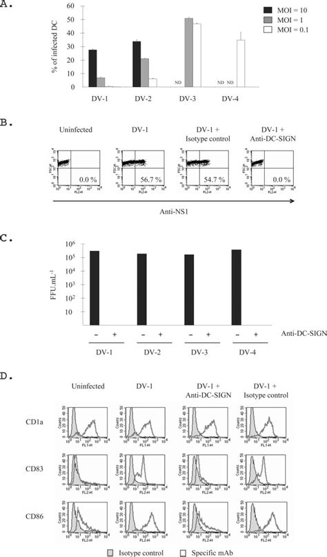 Dc Sign Is Critical For Productive Infection Of Dcs By The Four Dv