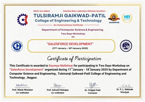 Salesforcedevelopment Certificateofparticipation Workshopexperience Learningjourney