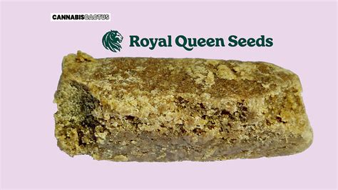Royal Queen Seeds Bubba Kush Hash