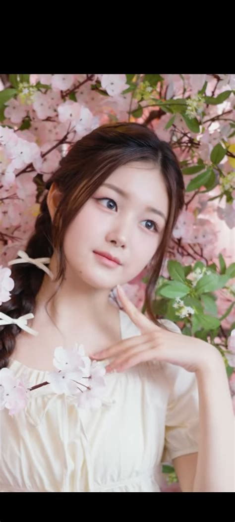 안녕하세요 연예인잡담 에펨코리아