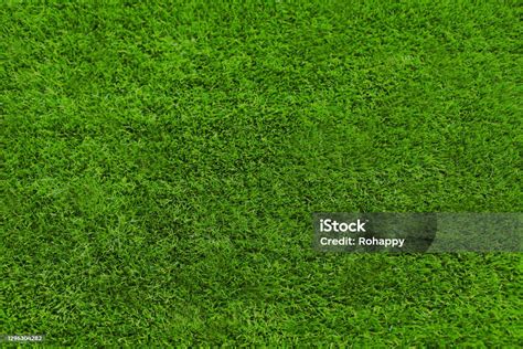 배경 자연 추상 이미지 빈 복사 공간에 대한 녹색 잔디 텍스처 풀 벼과에 대한 스톡 사진 및 기타 이미지 풀 벼과 풍경보기 앞마당 또는 뒷마당 Istock