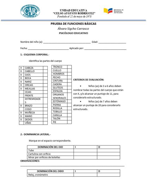 Prueba De Funciones Básicas Pdf