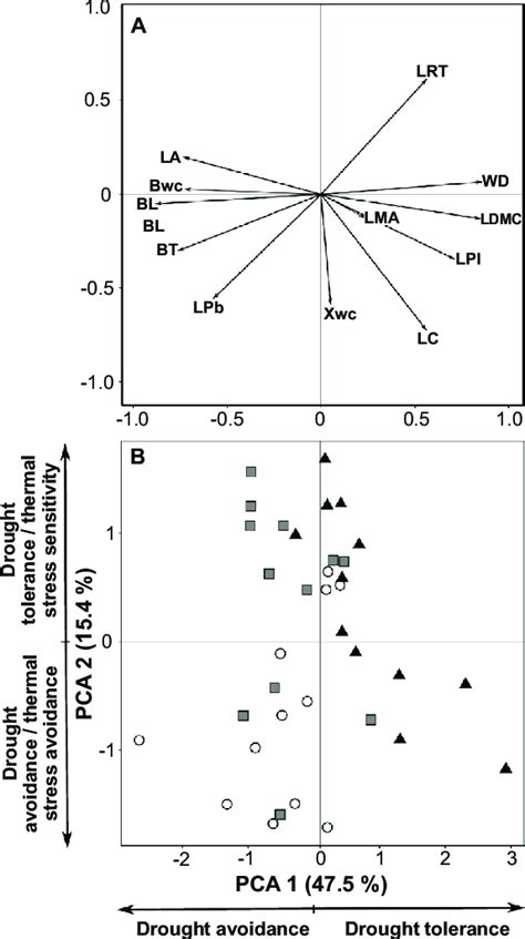Principal Component Analysis Pca Of The Cwm Of 12 Functional Traits