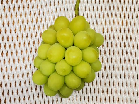 【完熟出荷】熟れたらほのかに黄色い！シャインマスカット2房箱約1キログラム【皮ごと種無し】：岡山県産のシャインマスカット｜食べチョク｜産地