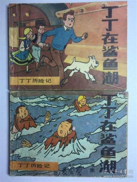 丁丁当当历险记故事书内容