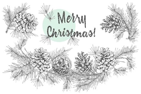 Premium Vector Realistic Botanical Ink Sketch Of Fir Tree Branches