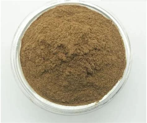 Bermuda Grass Extract Packaging Size 1 Kg At ₹ 500 Kg In Indore Id