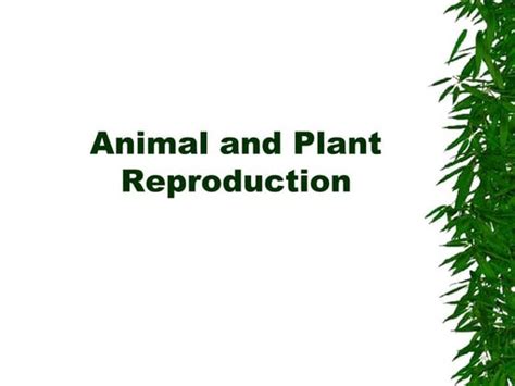 Reproduction In Plants For Class Viipptx
