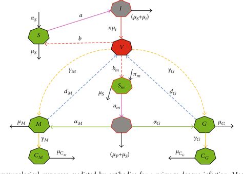 Figure 2 From Modeling Dengue Immune Responses Mediated By Antibodies