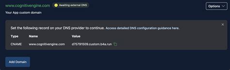 Custom Domain Back App Containers