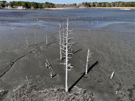 Driscoll Drones Driscoll Drones Added A New Photo