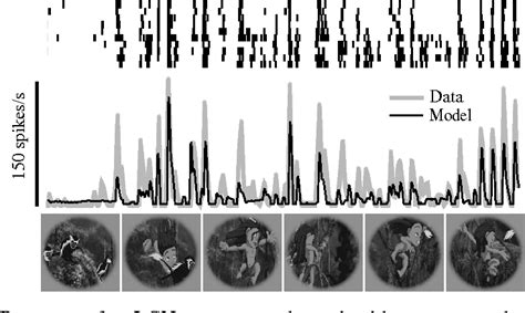Figure 1 From Nonlinear Processing In Lgn Neurons Semantic Scholar