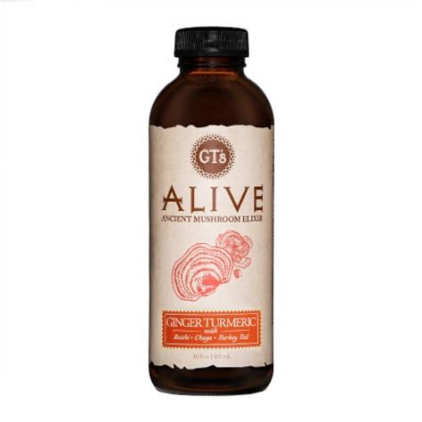 GT S Alive Ancient Mushroom Elixir Ginger Turmeric Fl Oz QFC