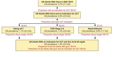 Gout Management Primary Care Clinical Guidance