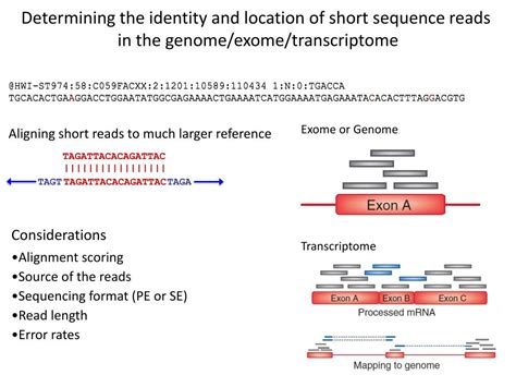 ppt introduction to short read sequencing analysis powerpoint