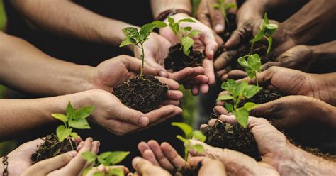 Incontro Formativo FORME DI AGGREGAZIONE NEL SETTORE AGRICOLO