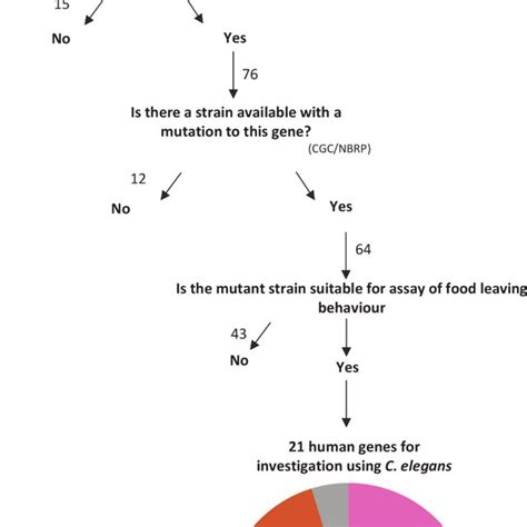 Thrashing Behaviour Of C Elegans Mutants Compared To N2 5 10 Minutes