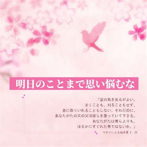 聖句カード｜神様を愛する人は最も祝福される人です 聖書の部屋 聖句 聖書の言葉 聖書カード