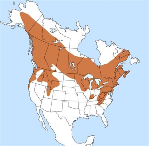 Ruffed Grouse Range Map Music Of Nature