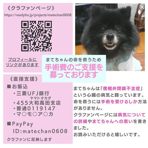映 on Twitter あと1日です まてちゃんのプロジェクト目標達成で支援金を受け取れます 併発した病気と闘うまてちゃん命の危険