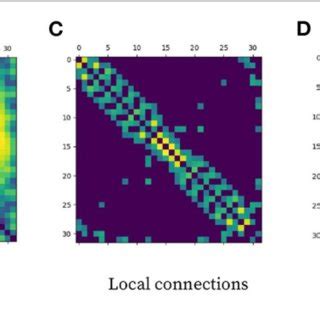 Pipeline For Computing Graph Adjacency Matrix From Electrode D Download Scientific Diagram